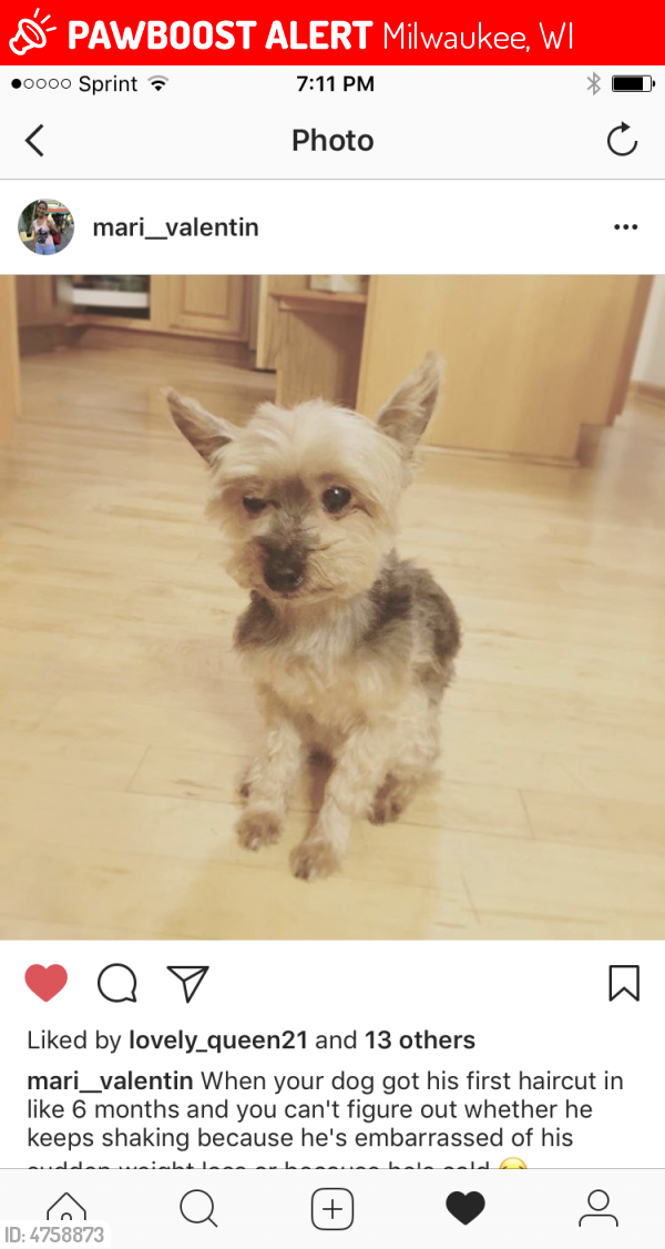 Milwaukee, WI Stray Male Dog Found Near Near N 30th St & W Clybourn St ...