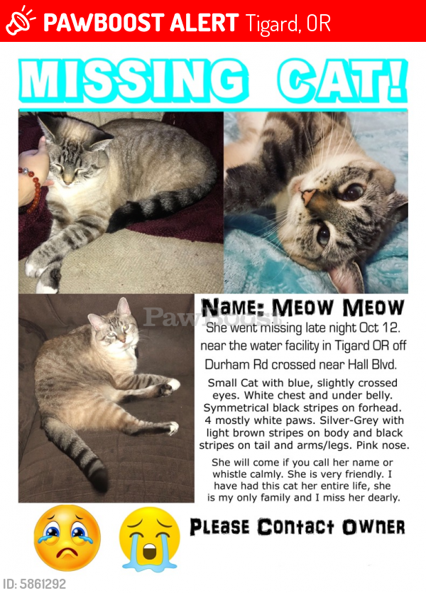 Tigard, OR Lost Female Cat, Meow Meow Is Missing | PawBoost