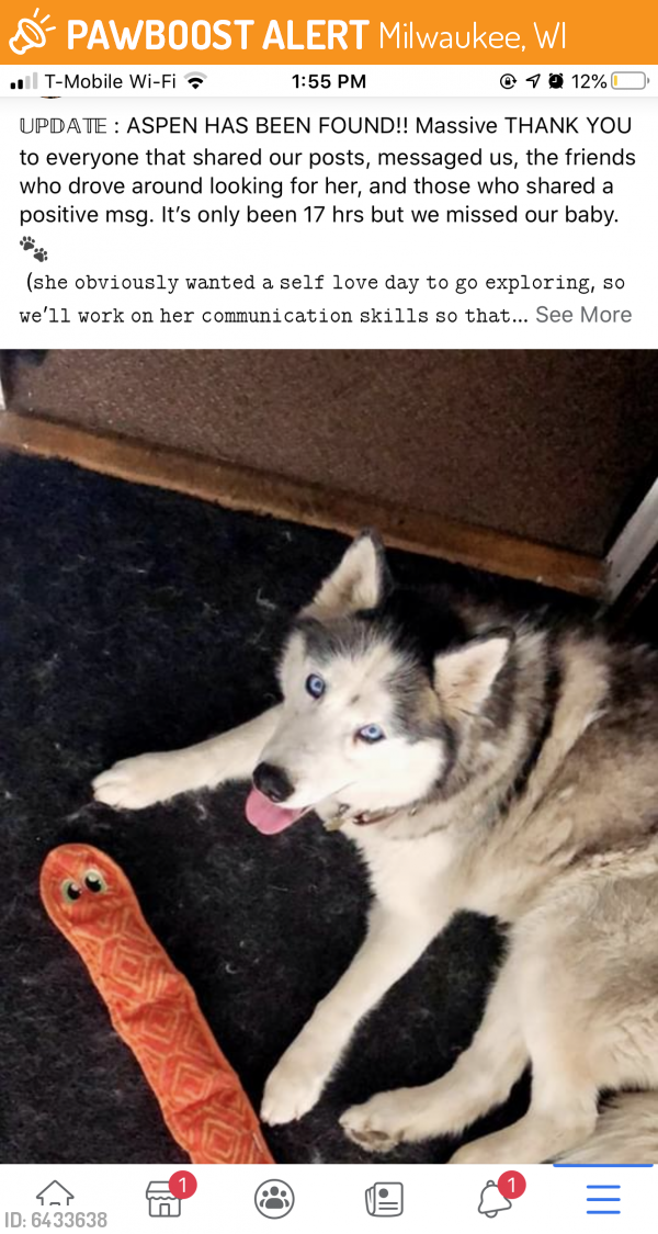 Milwaukee, WI Stray Female Dog Found Near howard ave and 22nd | PawBoost