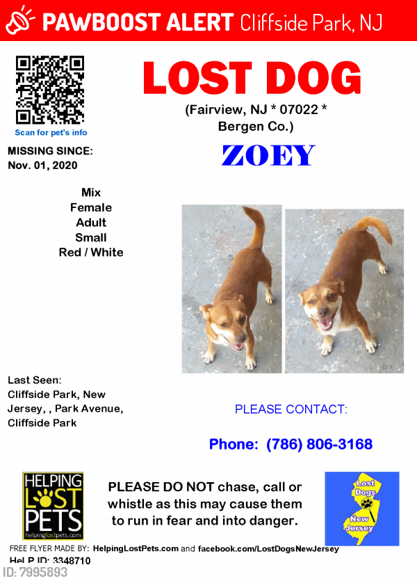 Cliffside Park, NJ Lost Female Dog, Zoey Is Missing | PawBoost