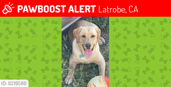 Latrobe, CA Lost Female Dog, Jones Is Missing | PawBoost