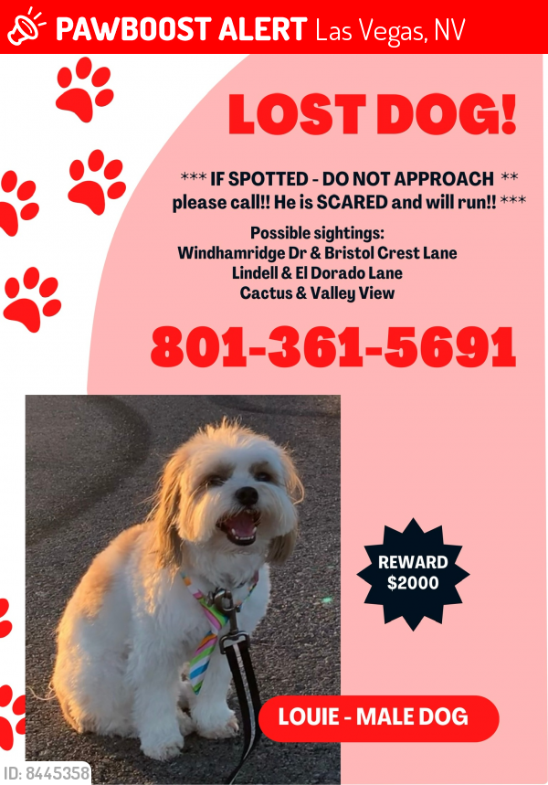 Las Vegas, NV Lost Male Dog, LOUIE Is Missing | PawBoost