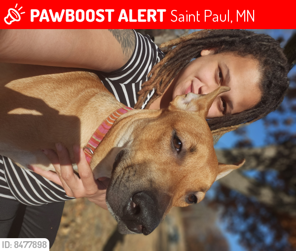 Saint Paul, MN Lost Female Dog, Maleena Is Missing | PawBoost