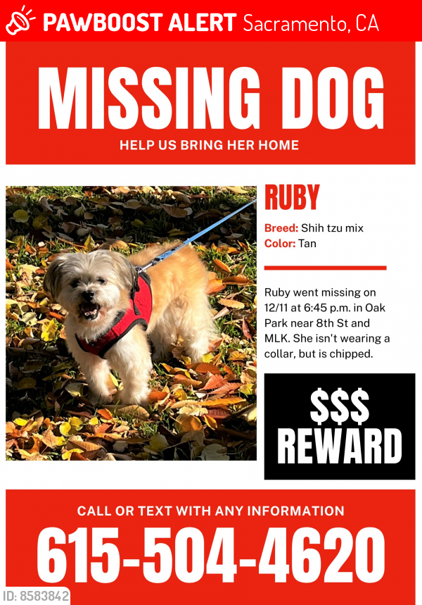 Sacramento, CA Lost Female Dog, Ruby Is Missing | PawBoost