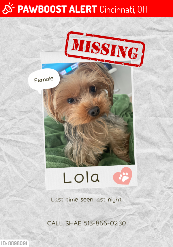 Cincinnati, OH Lost Female Dog, Lola Is Missing | PawBoost