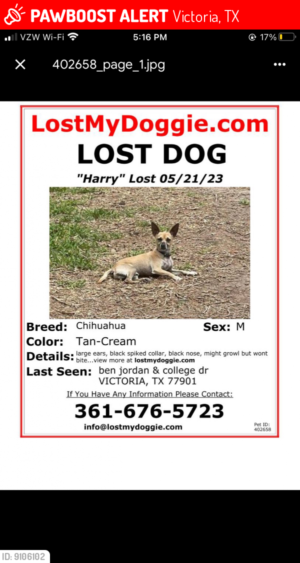 Victoria, TX Lost Male Dog, Harry Is Missing | PawBoost
