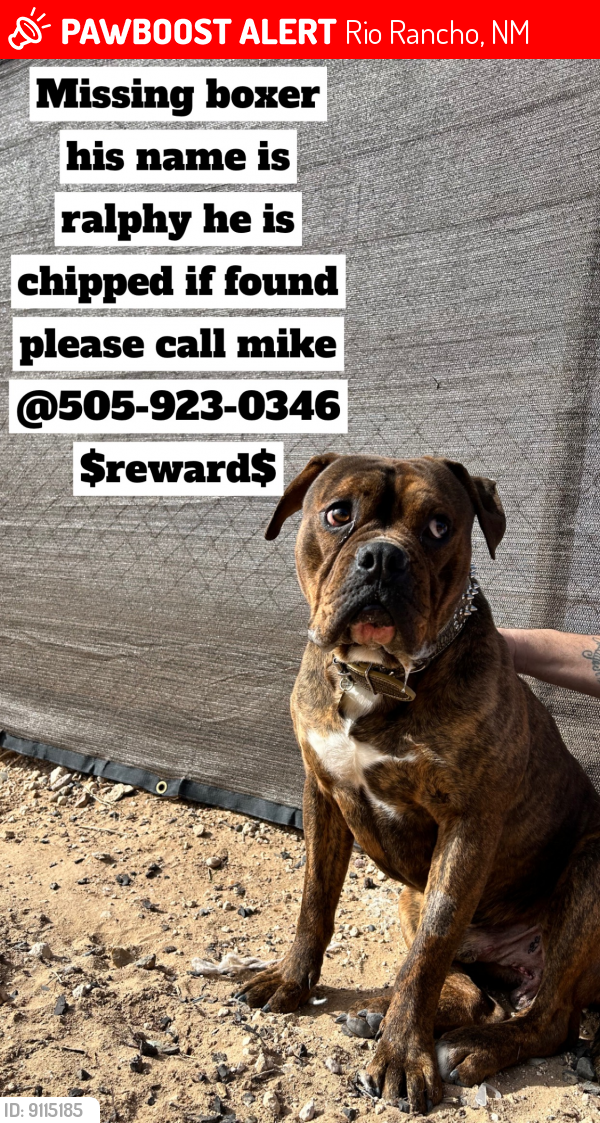 Rio Rancho, NM Lost Male Dog, Ralphy Is Missing | PawBoost