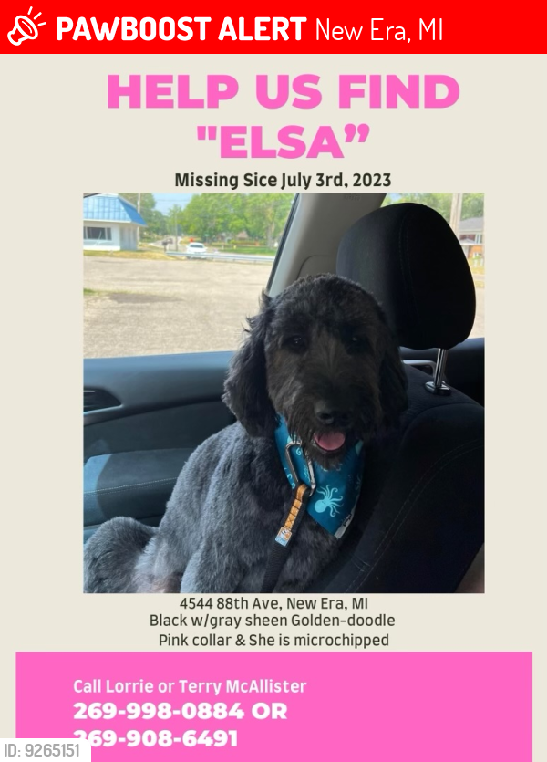 New Era, MI Lost Female Dog, Elsa Is Missing | PawBoost