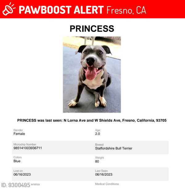 Fresno, CA Lost Female Dog, Princess Is Missing | PawBoost