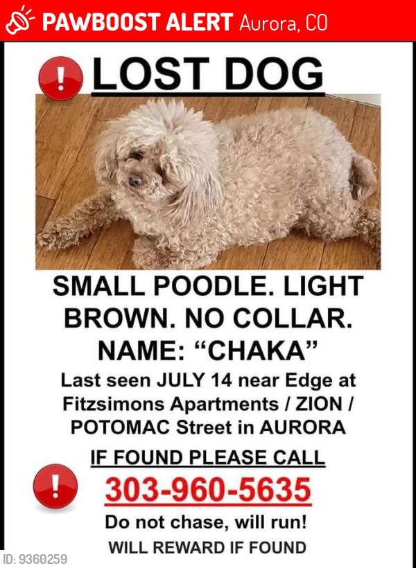 Aurora, CO Lost Female Dog, Chaka Is Missing | PawBoost