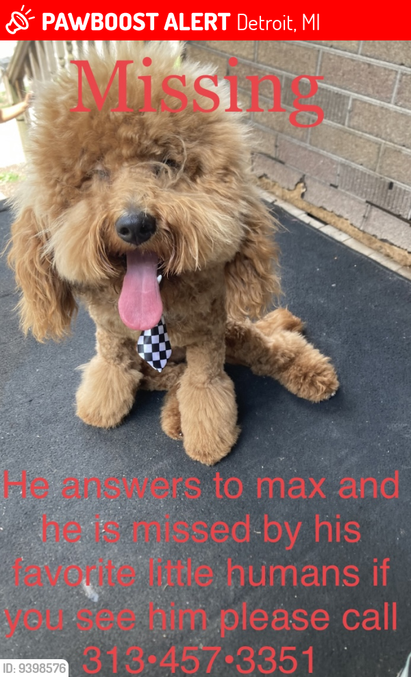 Detroit, MI Lost Male Dog, Max Is Missing | PawBoost