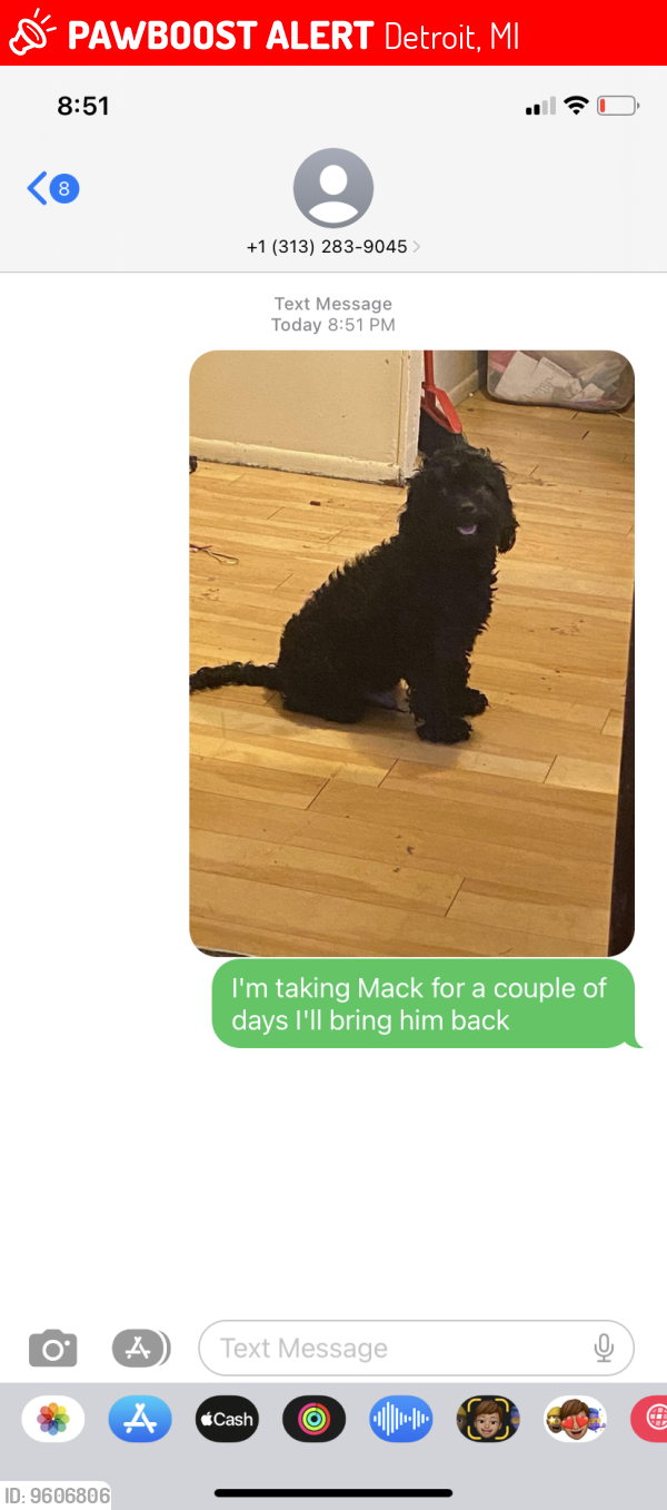 Detroit, MI Lost Male Dog, Batman Is Missing | PawBoost