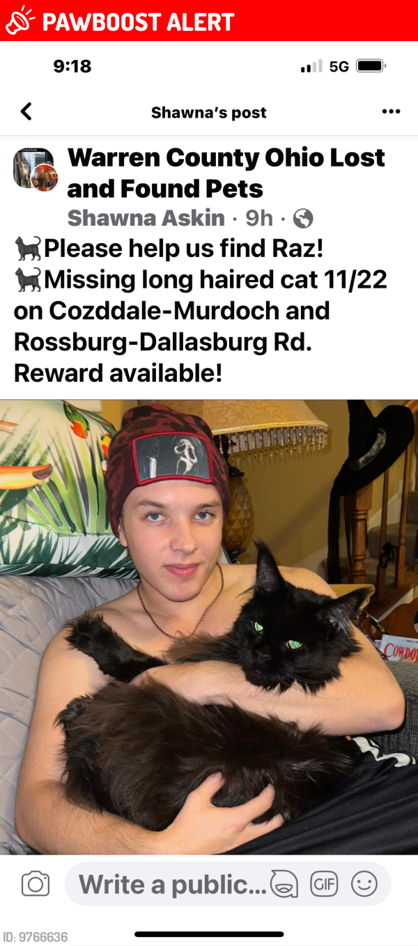 Hamilton Township, OH Lost Male Cat, Raz Is Missing | PawBoost