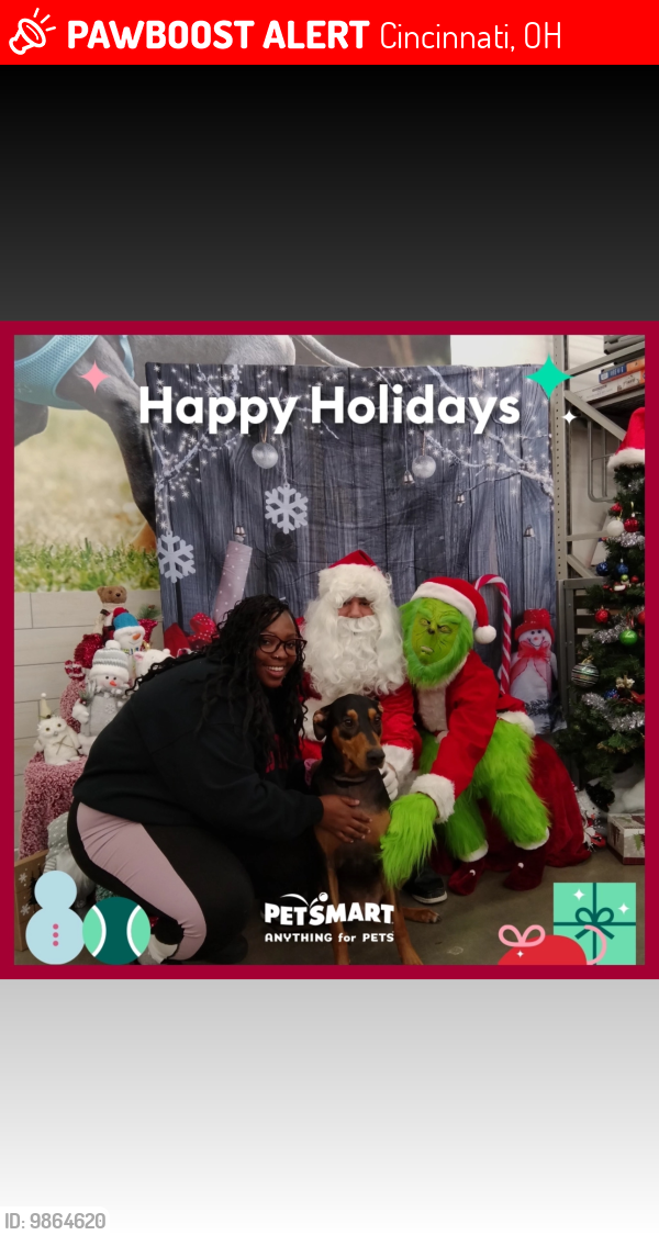 Cincinnati, OH Lost Male Dog, Chase Is Missing | PawBoost