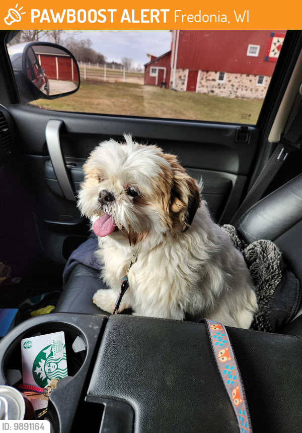Fredonia, WI Stray Male Dog Found Near Cty rd e fredonia wi | PawBoost