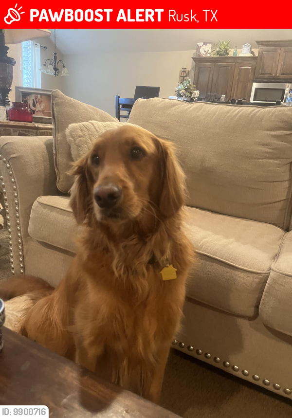 Rusk, TX Lost Male Dog, Tucker Is Missing | PawBoost