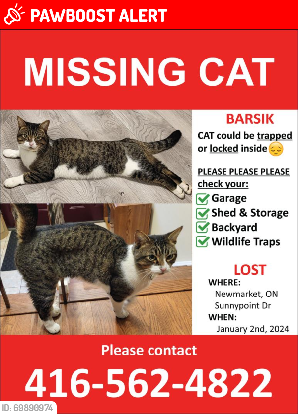 Newmarket, ON Lost Male Cat, Barsik Is Missing | PawBoost