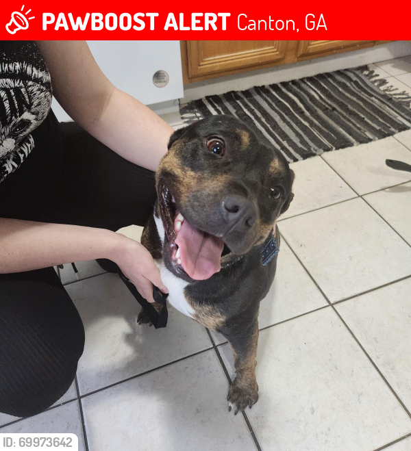 Canton, GA Lost Female Dog, Na Is Missing | PawBoost