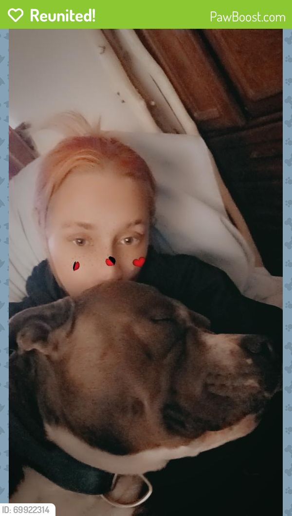 Reunited Male Dog in Choctaw, OK 73150 (ID: 69922314) | PawBoost