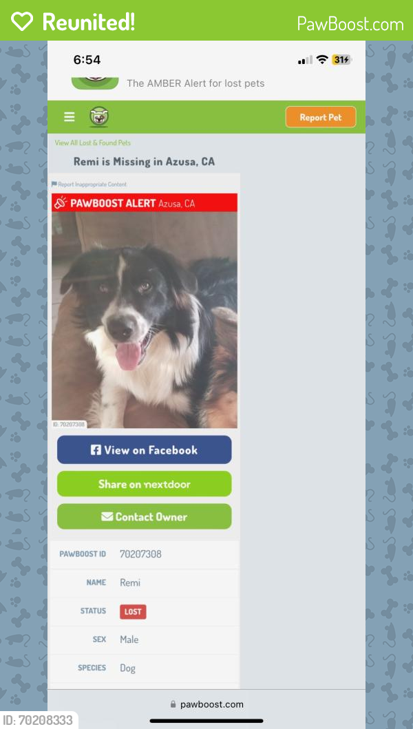 Reunited Male Dog in Azusa, CA 91702 (ID: 70208333) | PawBoost