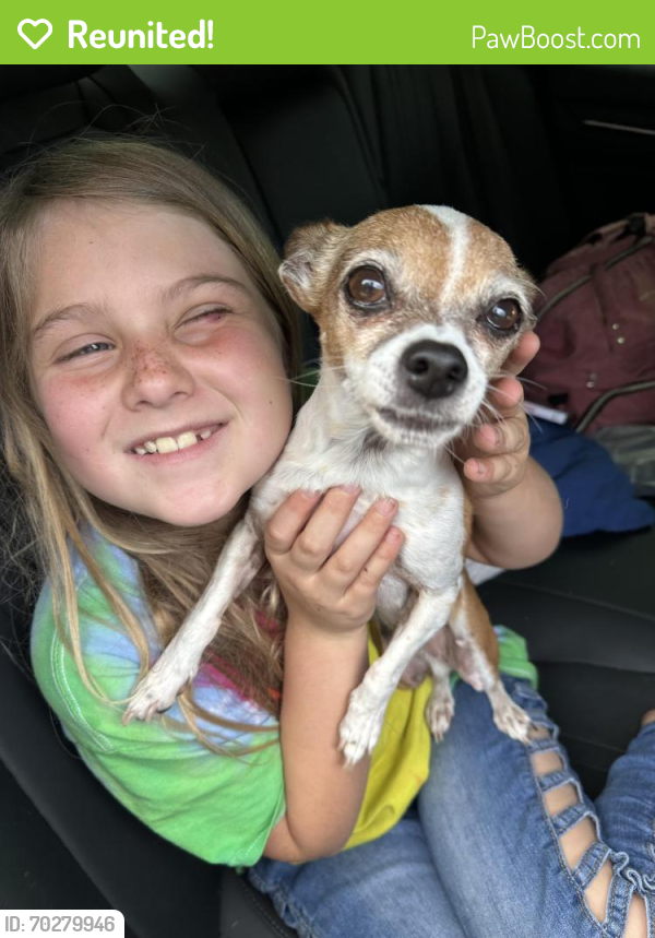 Reunited Male Dog in St. George, UT 84790 (ID: 70279946) | PawBoost