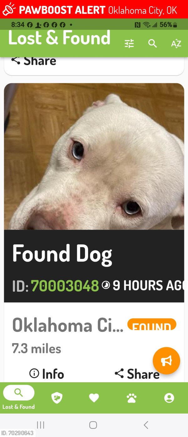 Oklahoma City, OK Lost Male Dog, Day Day Is Missing | PawBoost