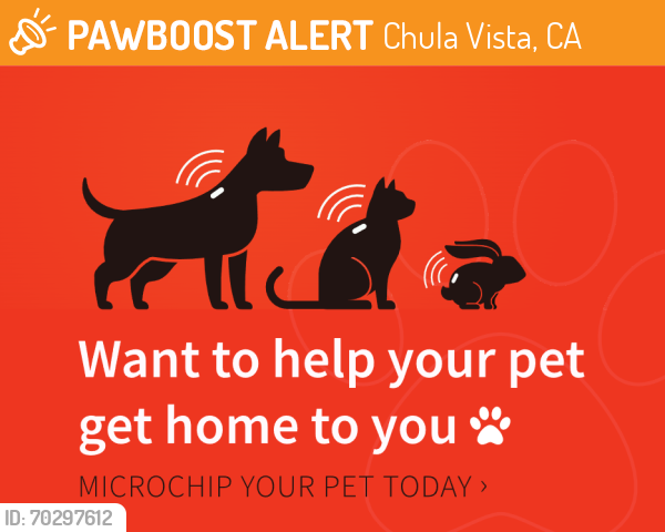 Chula Vista, CA Stray Male Dog Found Near Near Broadway A05 Unit 130 Chula Vista, CA 91911 ...