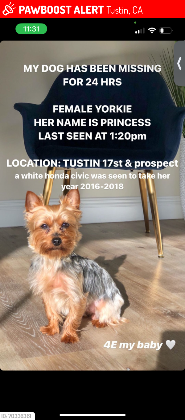 Tustin, CA Lost Female Dog, Princess Is Missing | PawBoost