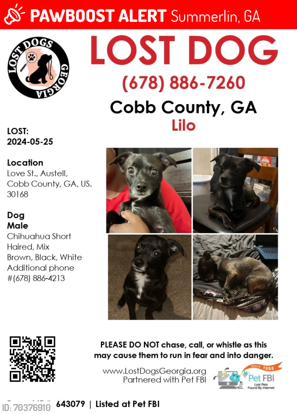Summerlin, GA Lost Male Dog, Lilo Is Missing | PawBoost