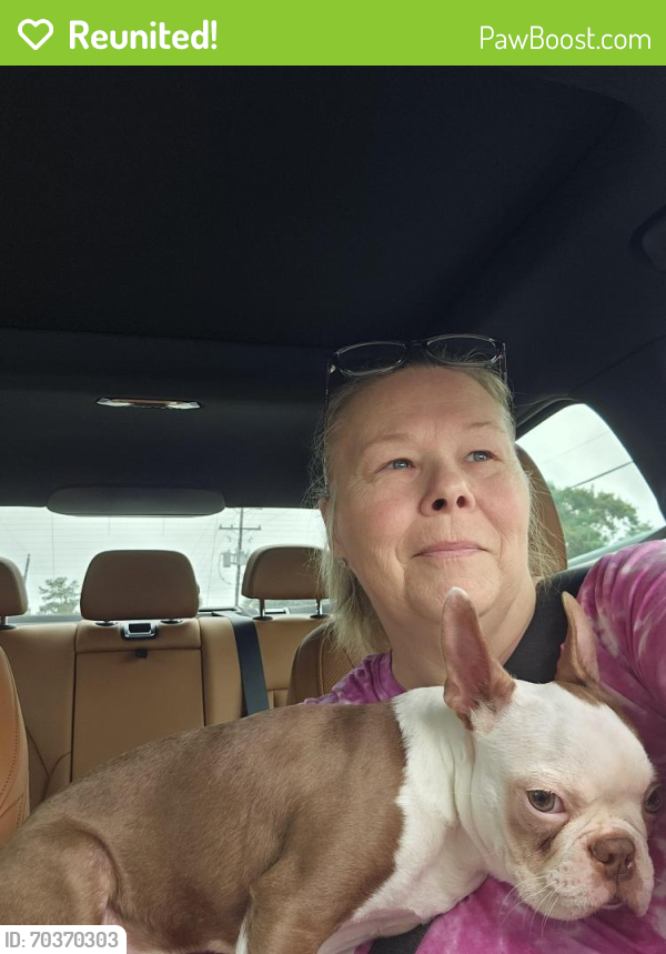 Reunited Male Dog in West Columbia, SC 29172 (ID: 70370303) | PawBoost