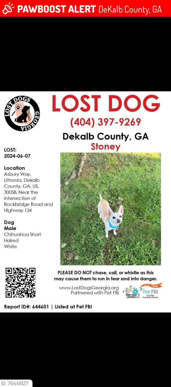 DeKalb County, GA Lost Male Dog, Stoney Is Missing | PawBoost