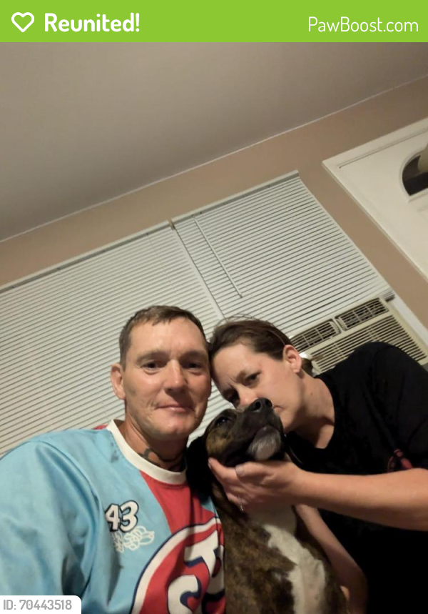 Reunited Female Dog in Indianapolis, IN 46203 (ID: 70443518) | PawBoost