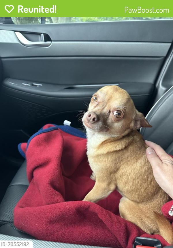 Reunited Male Dog in Melbourne, FL 32904 (ID: 70552192) | PawBoost