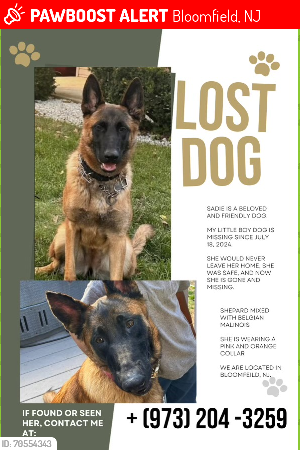 Bloomfield, NJ Lost Female Dog, Sadie Is Missing | PawBoost
