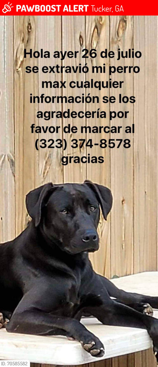 Tucker, GA Lost Male Dog, Max Is Missing | PawBoost