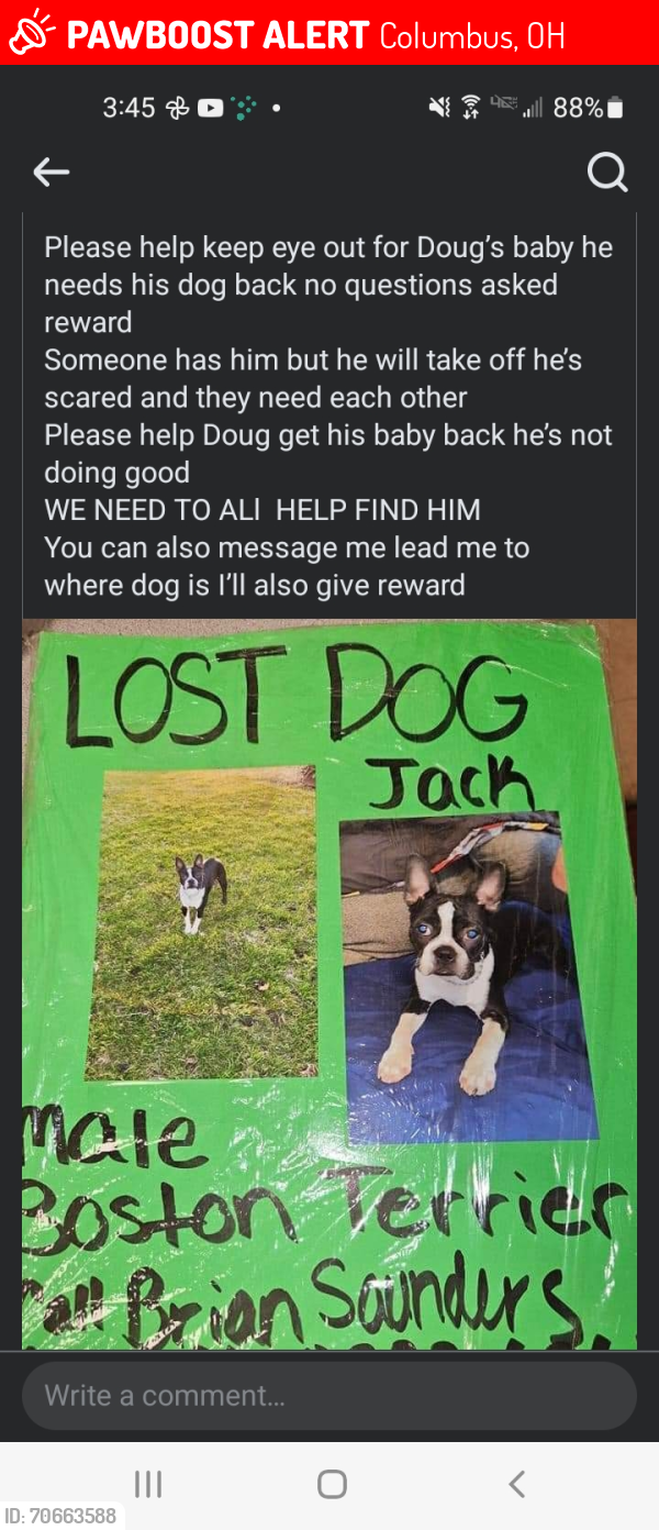 Columbus, OH Lost Male Dog, Jack Is Missing | PawBoost