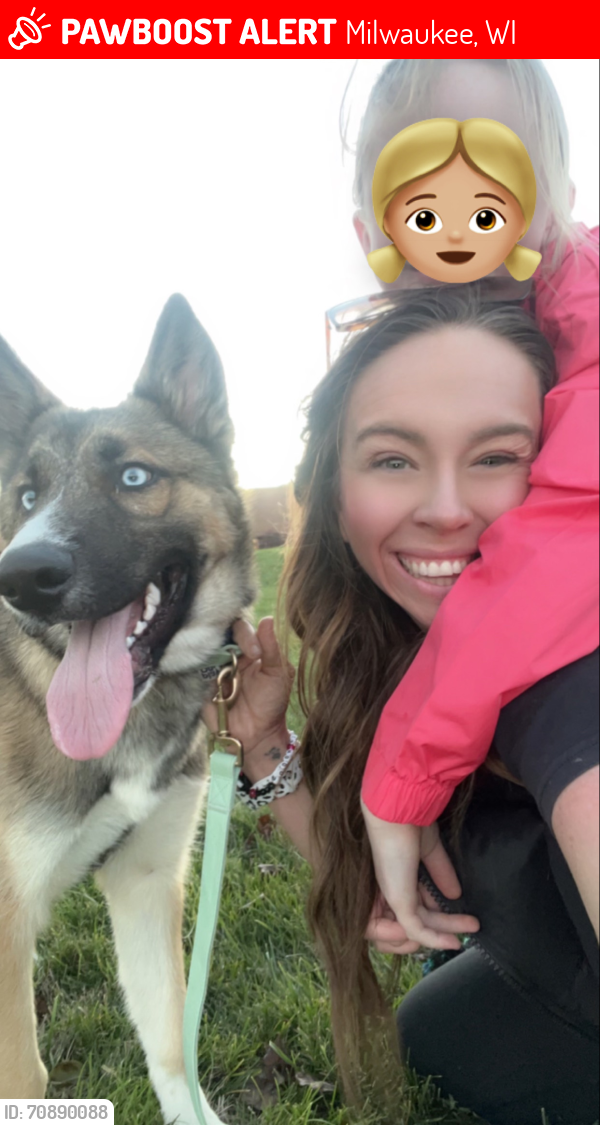 Milwaukee, WI Lost Male Dog, Biggie Is Missing | PawBoost