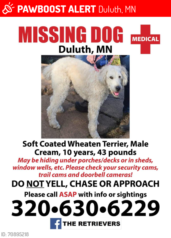 Duluth, MN Lost Male Dog, Rufus Is Missing | PawBoost