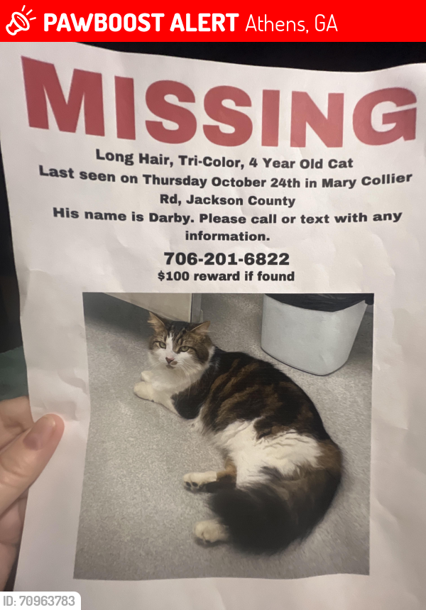 Athens, GA Lost Male Cat, Darby Is Missing | PawBoost
