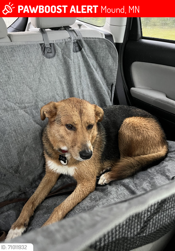 Mound, MN Lost Female Dog, Zuri Is Missing | PawBoost