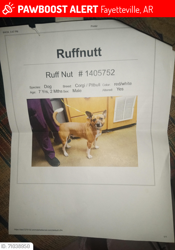 Fayetteville, AR Lost Male Dog, Ruff nutt Is Missing | PawBoost