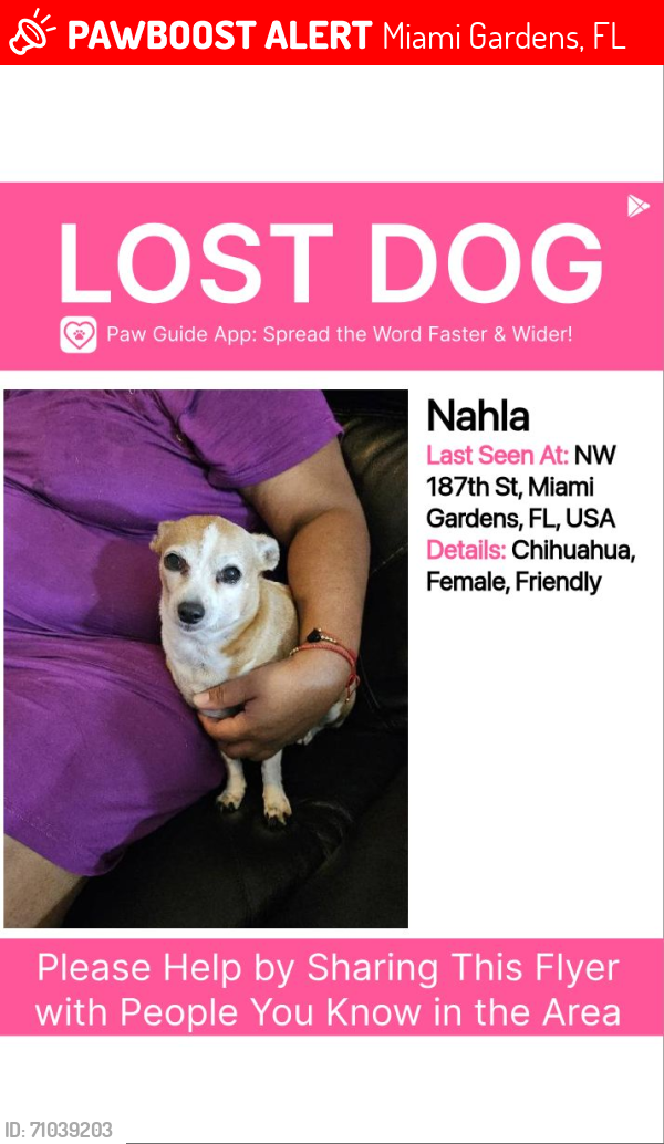 Miami Gardens, FL Lost Female Dog, Nahla Is Missing | PawBoost