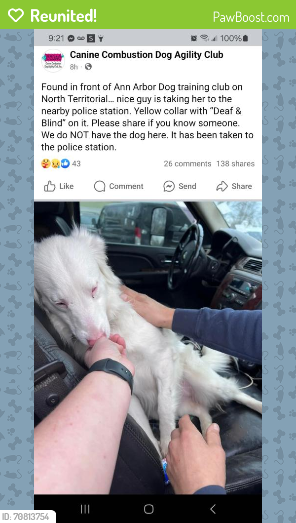 Reunited Dog in Detroit, MI 48211 (ID: 70813754) | PawBoost