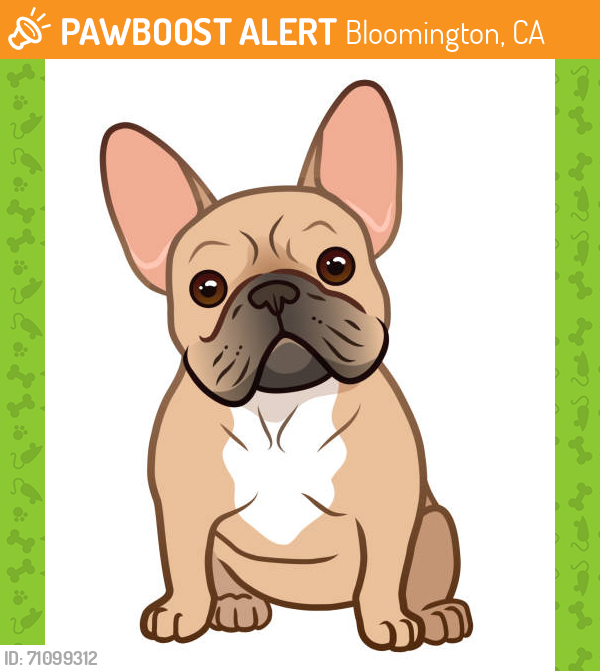 Bloomington, CA Stray Dog Found Near Oak and 10th st | PawBoost