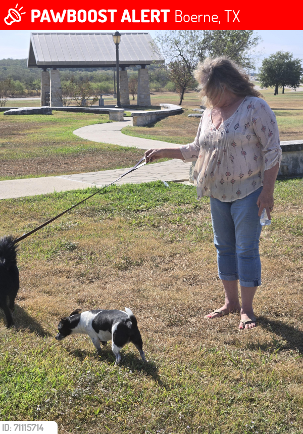 Boerne, TX Lost Male Dog, Machito Is Missing | PawBoost