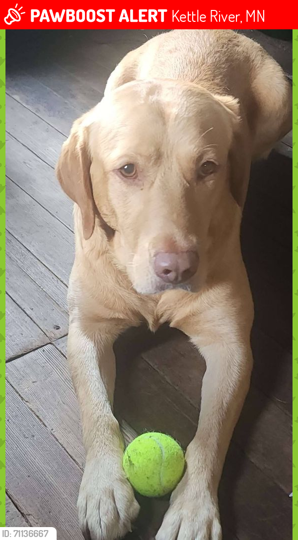 Kettle River, MN Lost Male Dog, Milo Is Missing | PawBoost