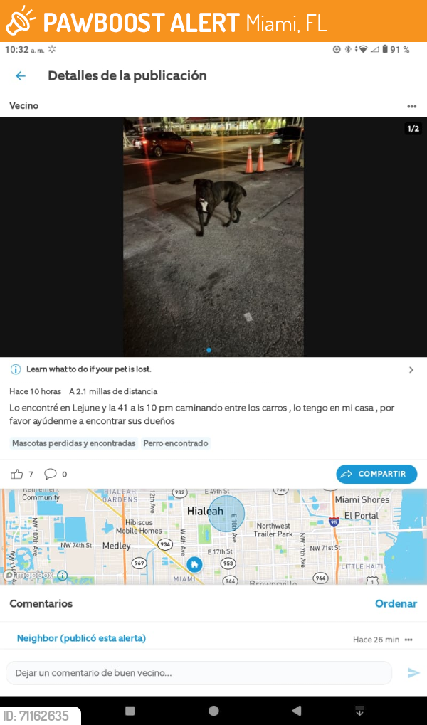 Miami, FL Stray Male Dog Found Near Lejun | PawBoost