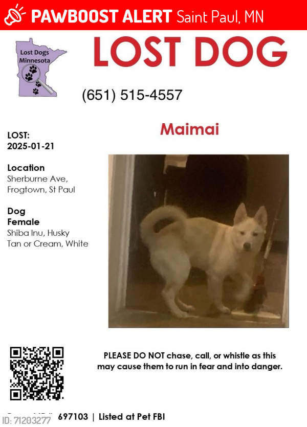 Saint Paul, MN Lost Female Dog, Maimai Is Missing | PawBoost