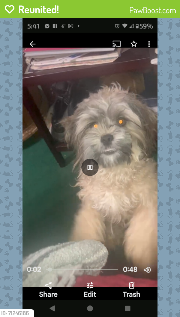 Reunited Male Dog in Wichita, KS 67203 (ID: 71246186) | PawBoost