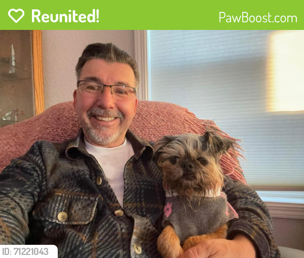 Reunited Female Dog in Boise, ID 83706 (ID: 71221043) | PawBoost